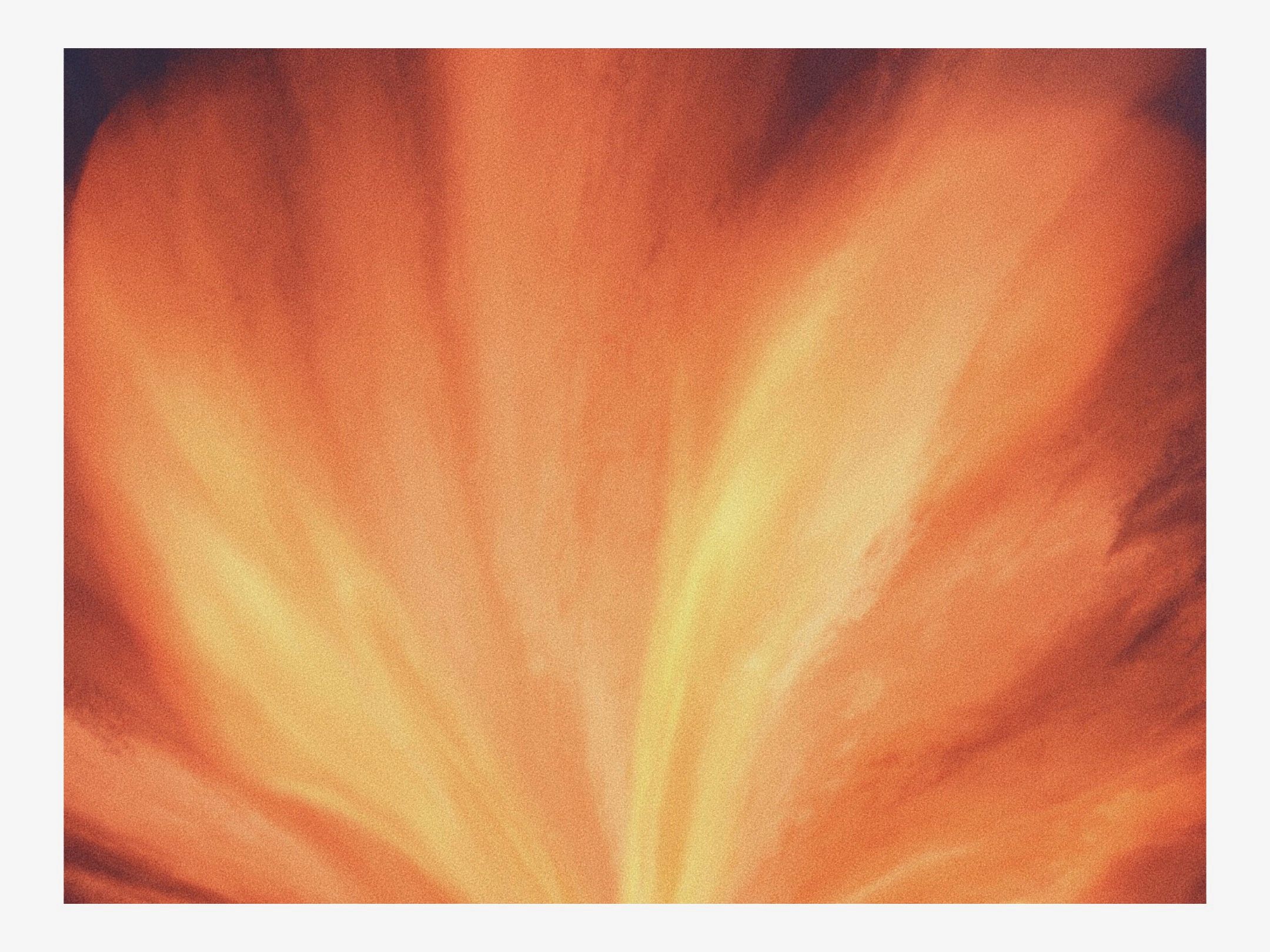 Color of Genshin 色で見る Genshin Impact | HoYoLAB