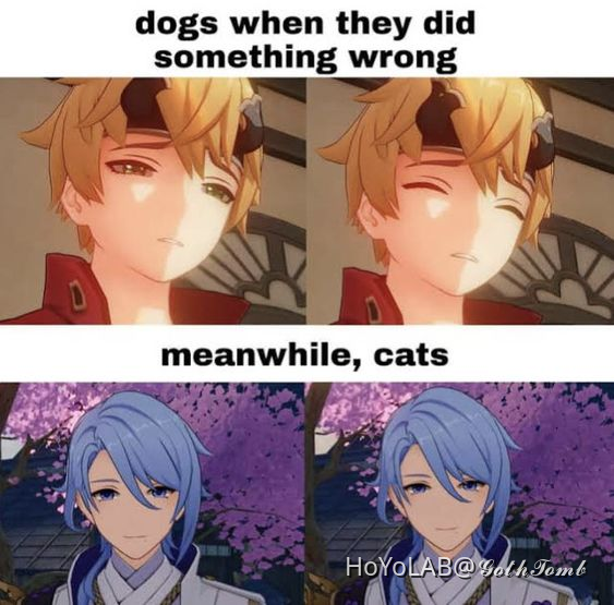 Meme! Genshin Impact | HoYoLAB