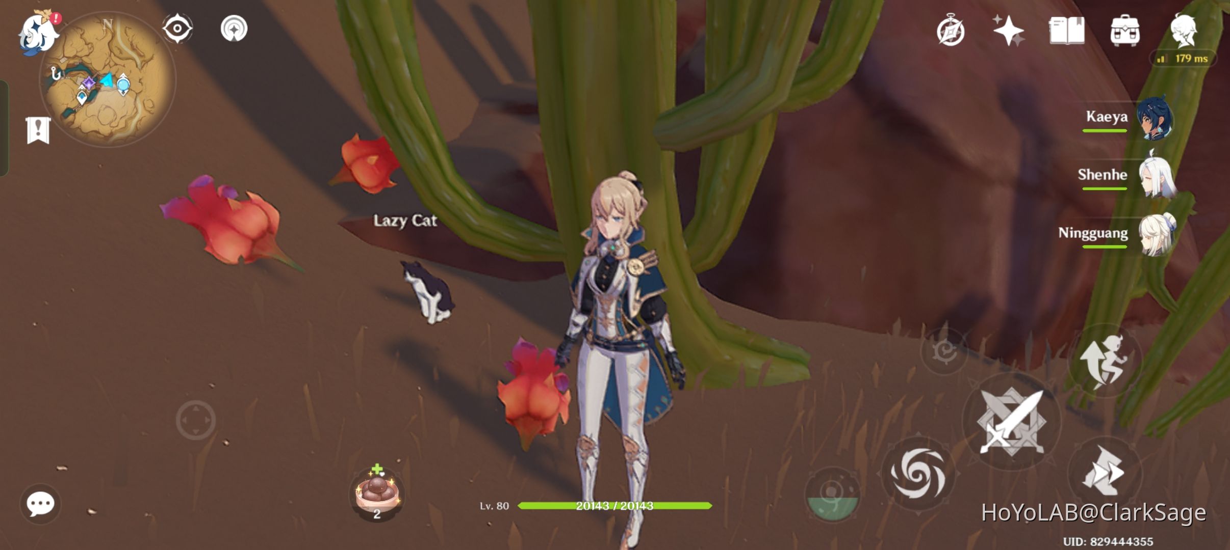 Lazy catto Genshin Impact | HoYoLAB