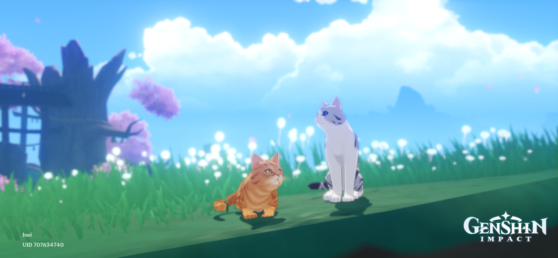Pretty kitties in Inazuma. Genshin Impact | HoYoLAB