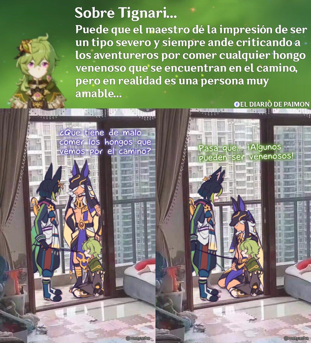 Sobre Tignari... Genshin Impact | HoYoLAB