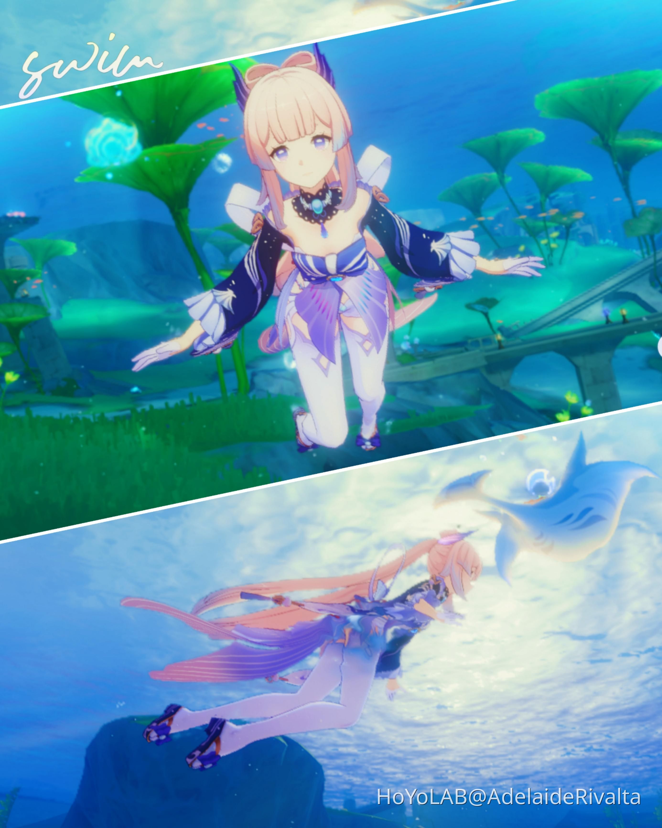 Koko fish 🐠🐋🐟📷 Genshin Impact | HoYoLAB
