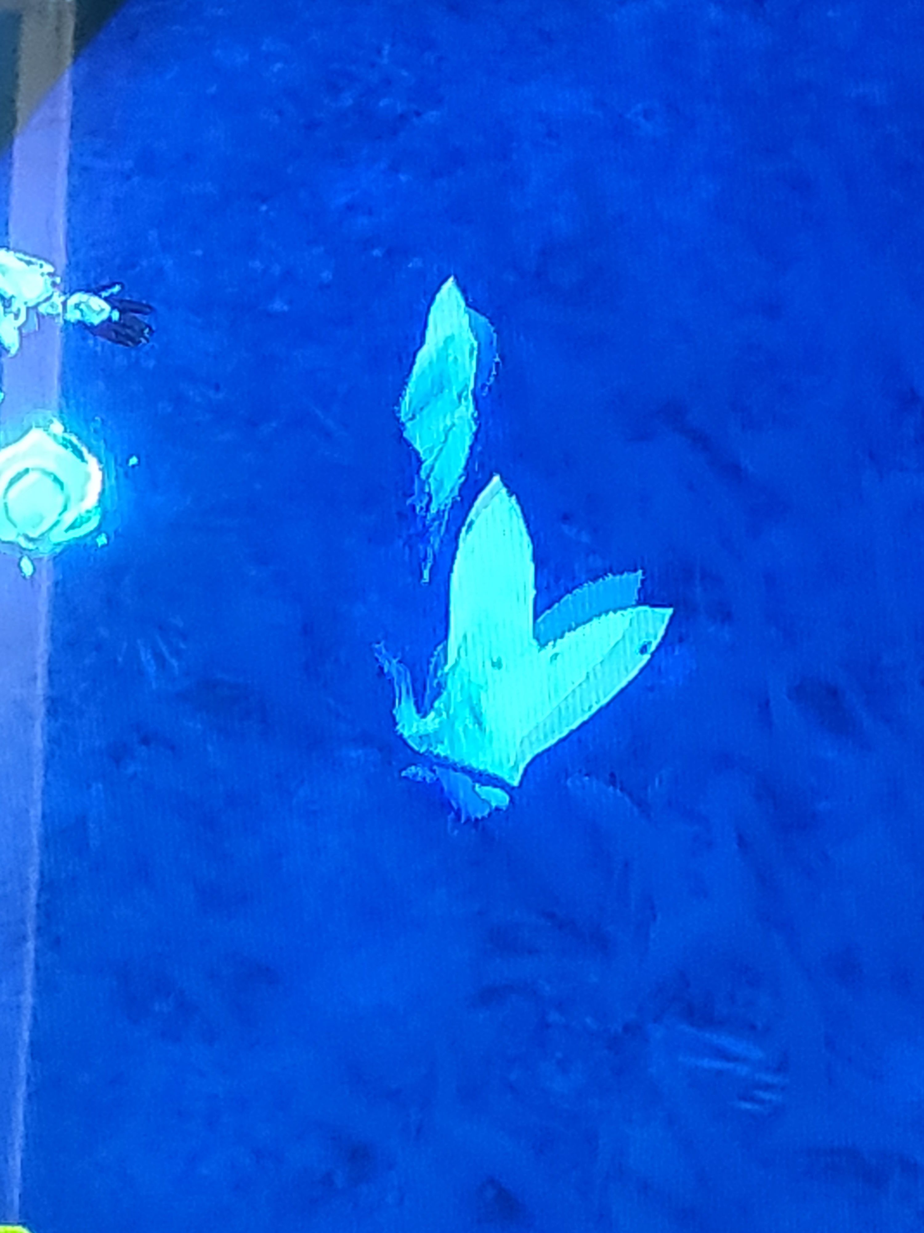 Fish Hydra Genshin Impact | HoYoLAB