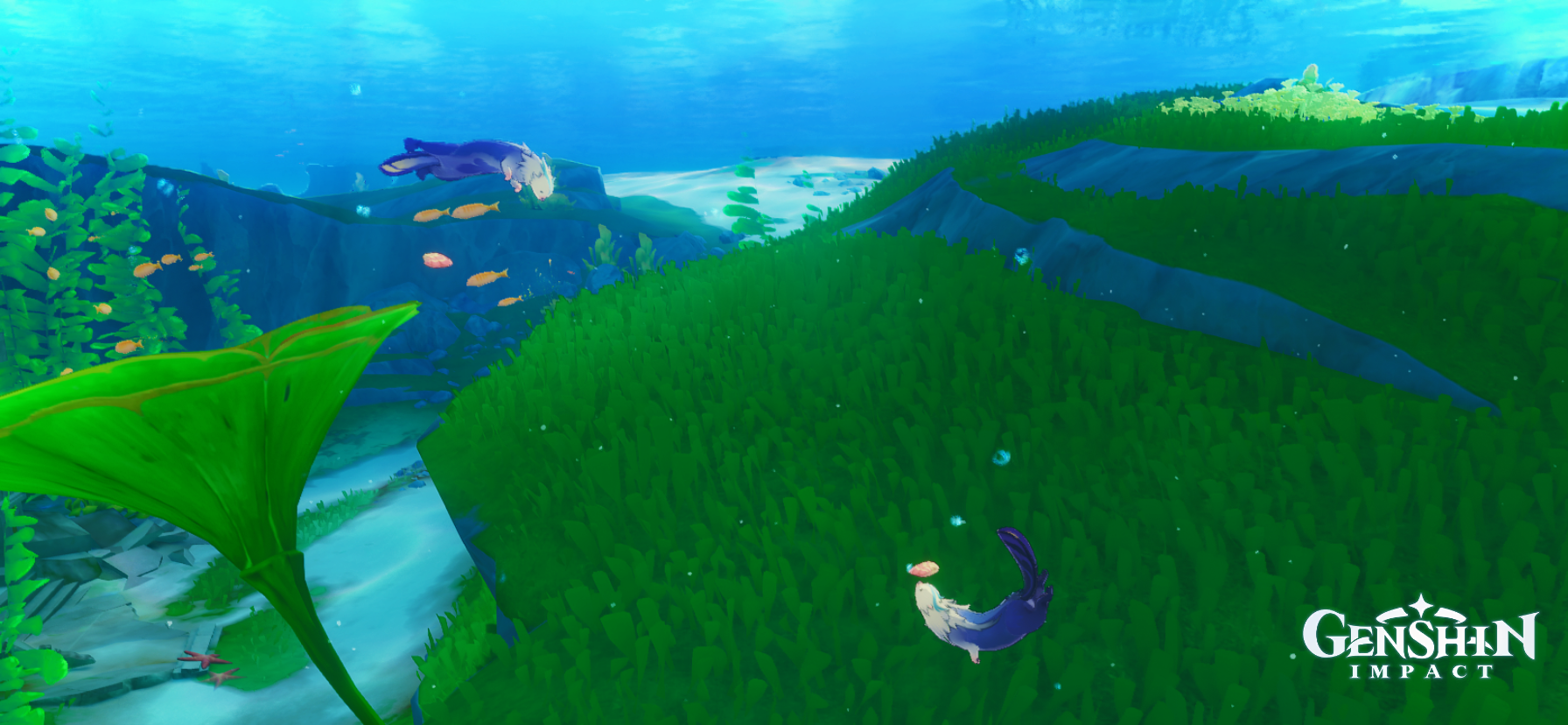 FONTAINE CREATURES ARE SO CUTE.. Genshin Impact | HoYoLAB