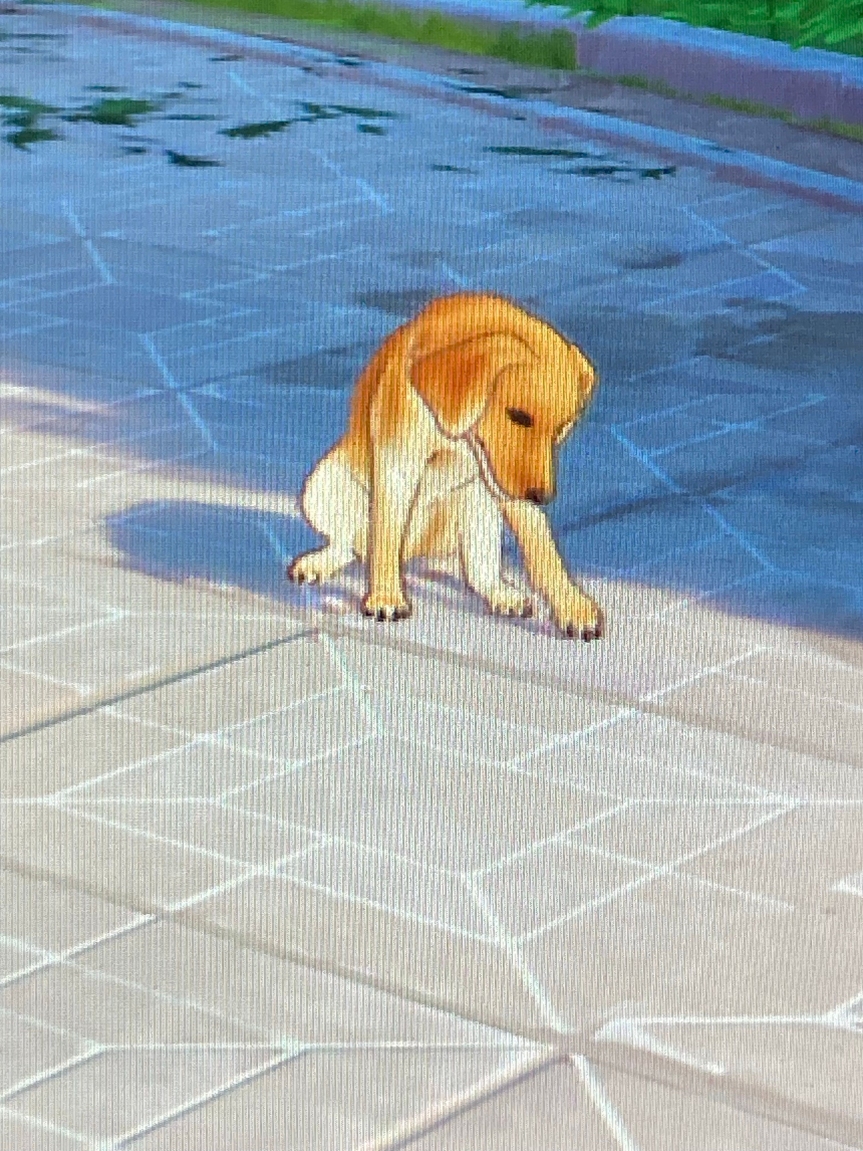 NEW DOGS Genshin Impact | HoYoLAB