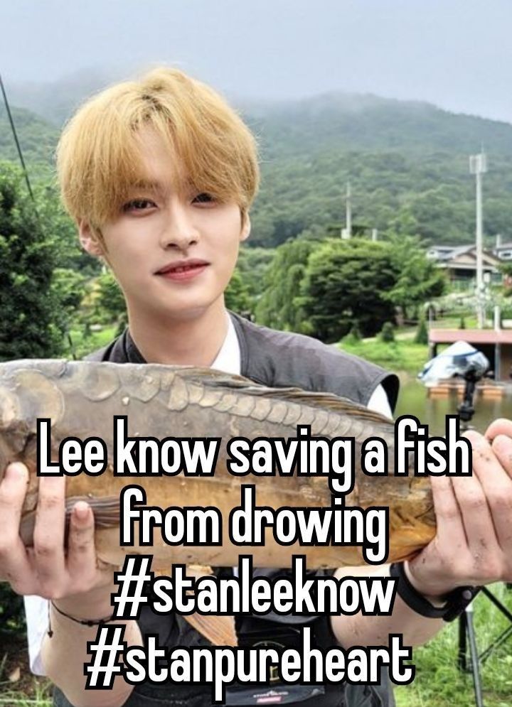 Skz memes | HoYoLAB