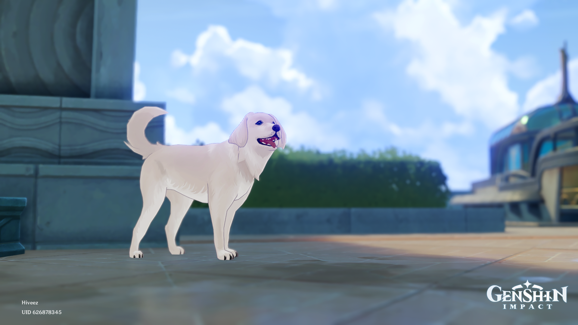 doggie ️ ️ ️ Genshin Impact | HoYoLAB