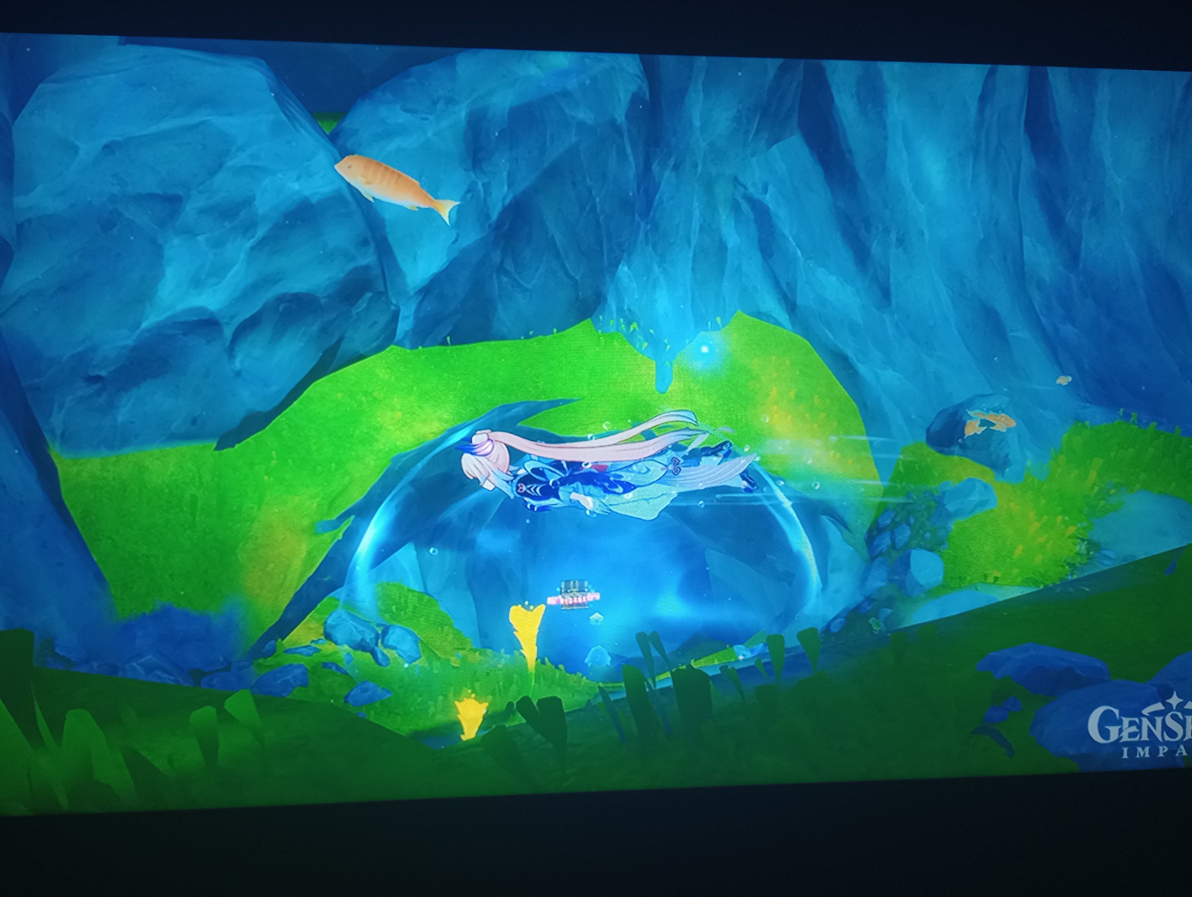 The Little Watasumi Mermaid Genshin Impact | HoYoLAB