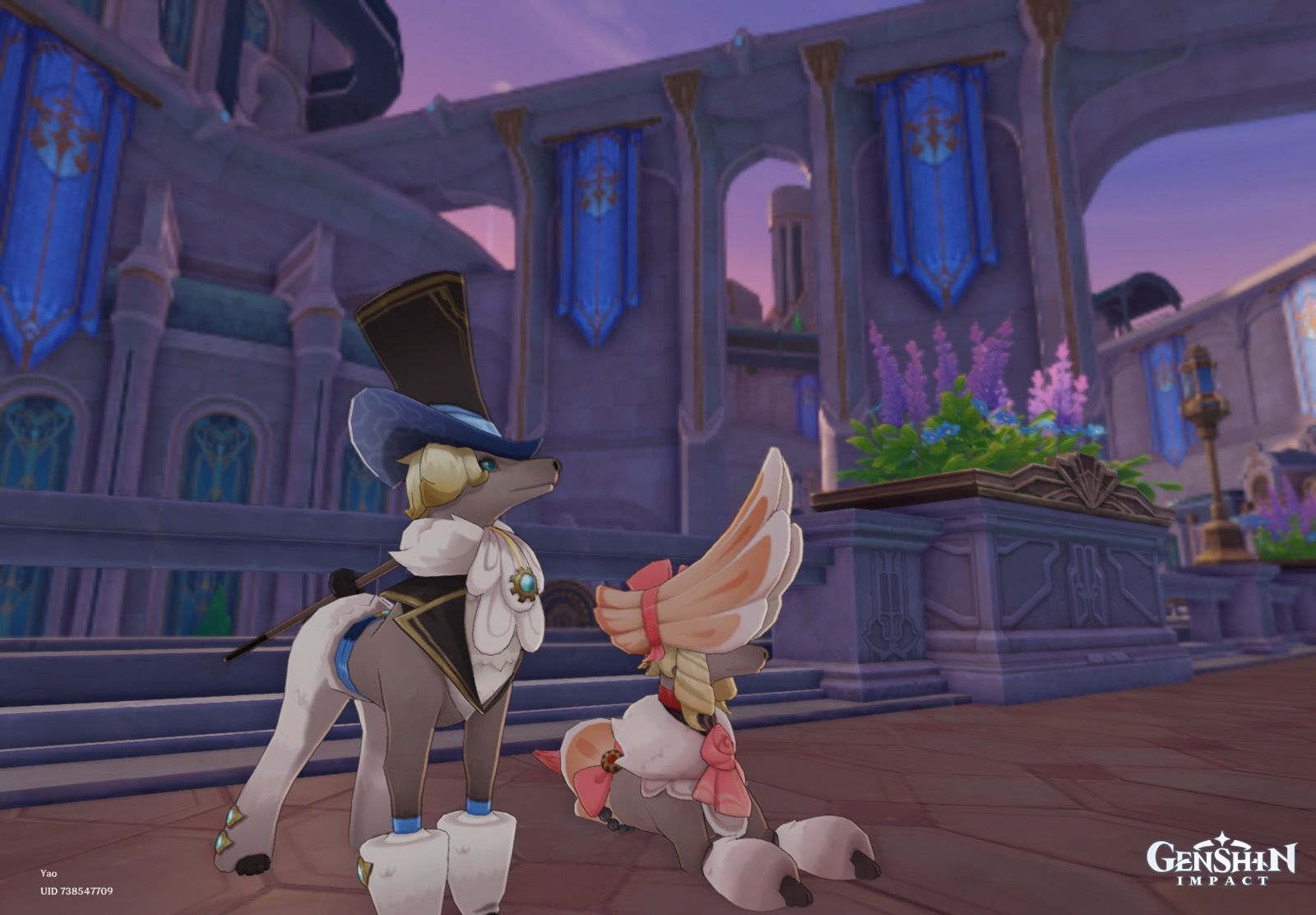 Fontaine reached the highest level of animal cuteness🥺 Genshin Impact ...