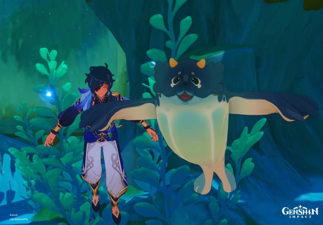 These creatures are just too cute Genshin Impact | HoYoLAB