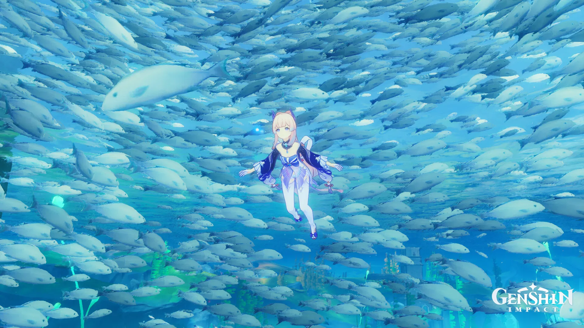 Kokofish in her natural habitat. Genshin Impact | HoYoLAB