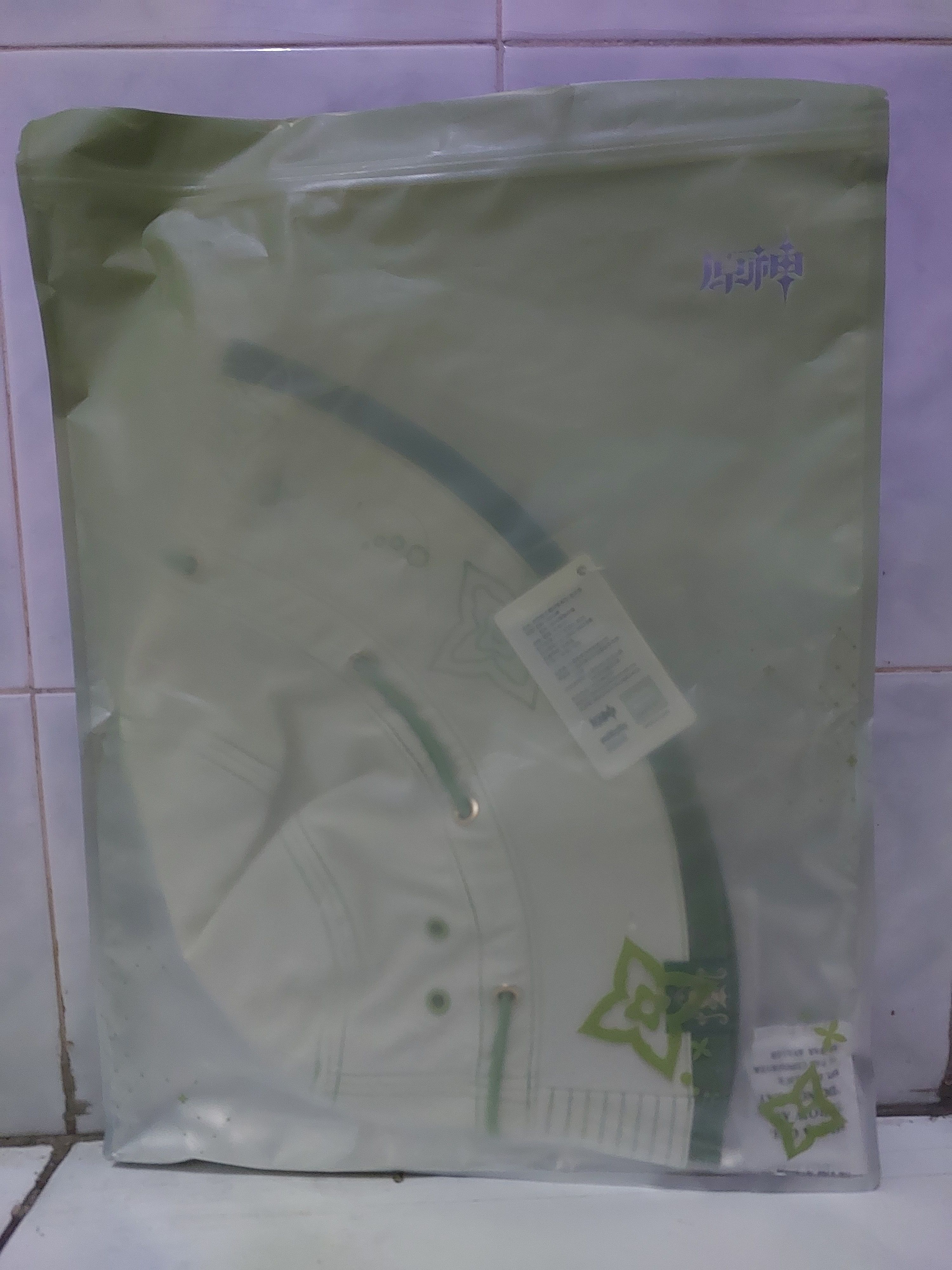 Nahida Drip ft. Guoba Genshin Impact | HoYoLAB