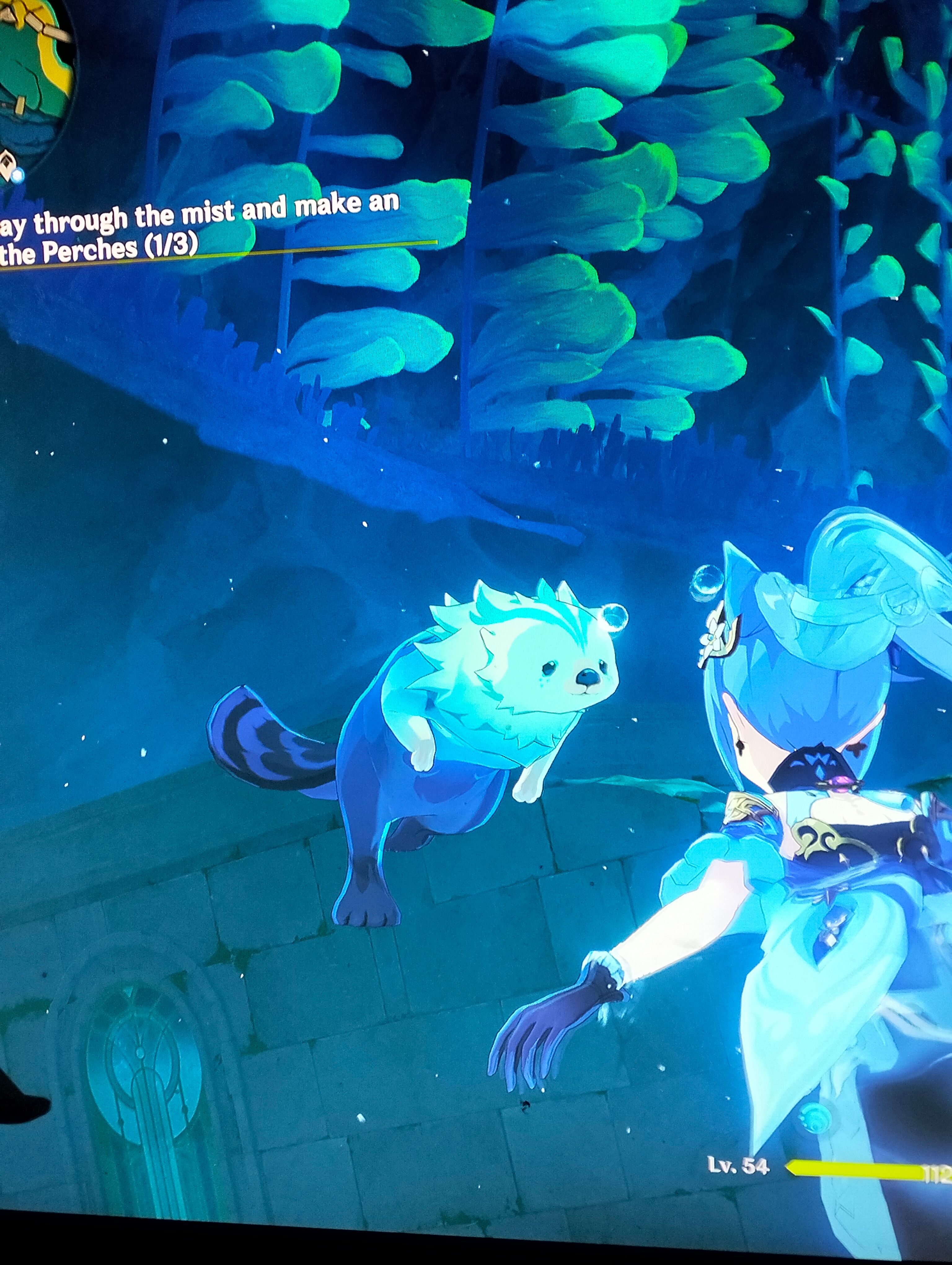 Cutest creature alive Genshin Impact | HoYoLAB