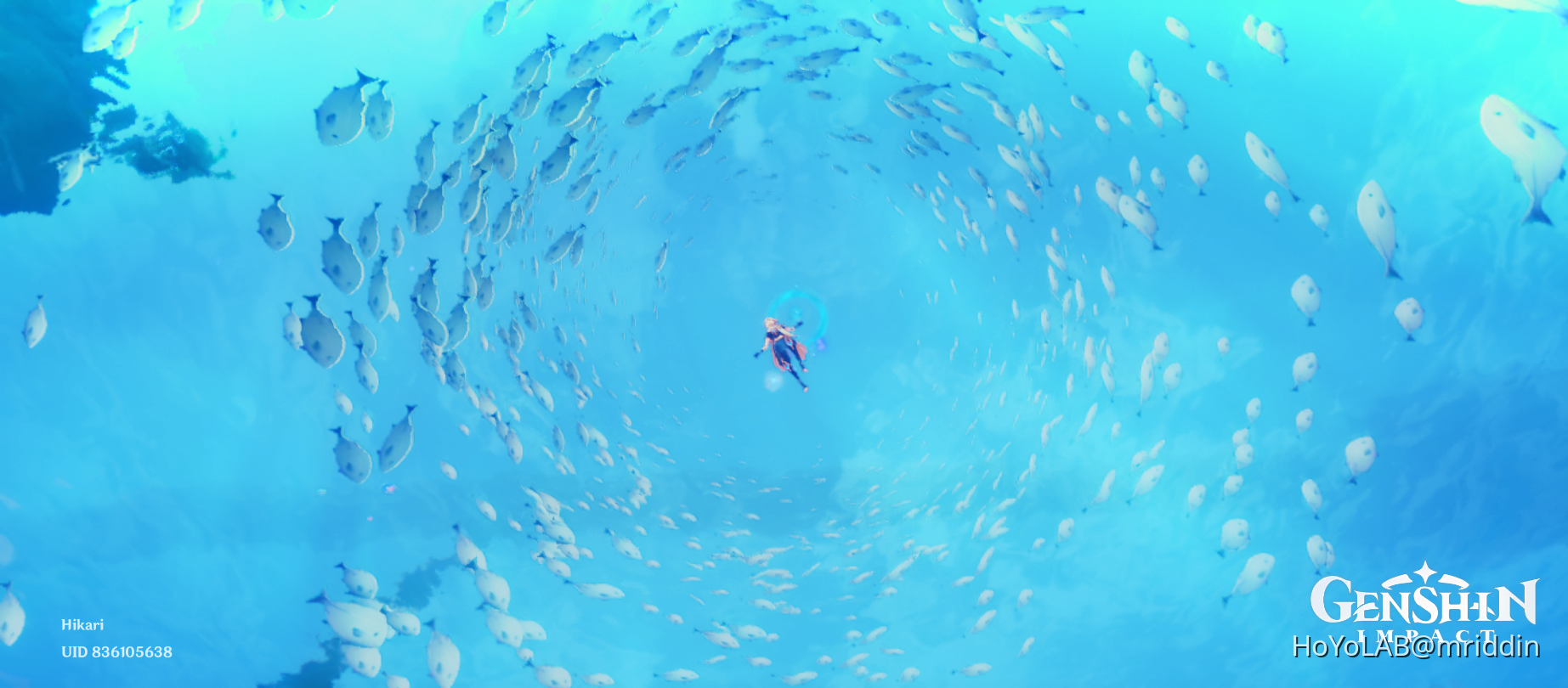 Group of fish Genshin Impact | HoYoLAB