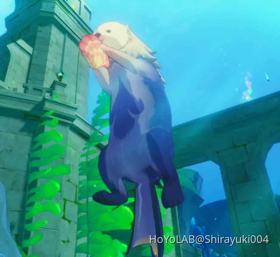 Oh My! so Cuteeee!😍🥰 Otter Genshin Impact | HoYoLAB