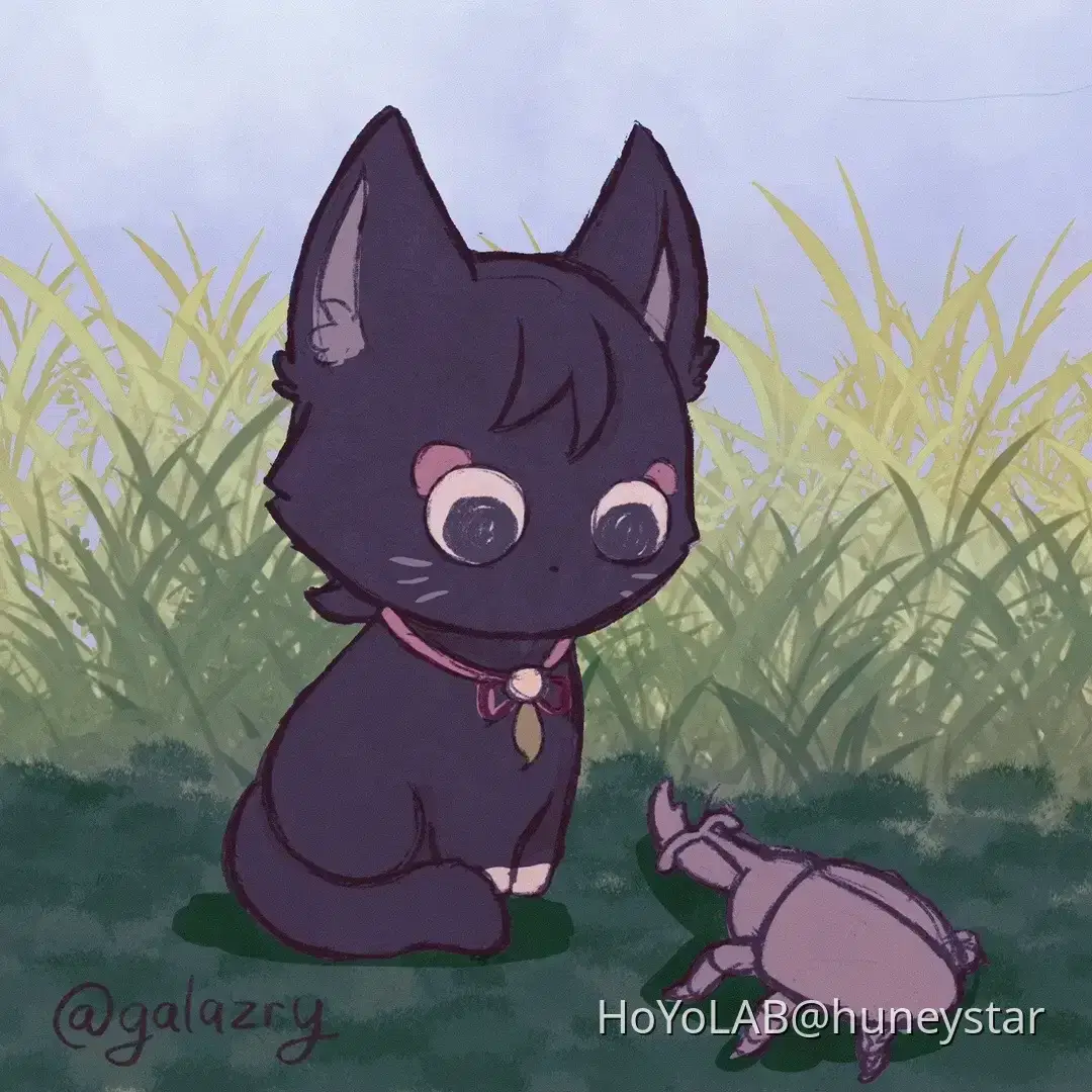 i found this cute scarameow art by @galazry Genshin Impact | HoYoLAB