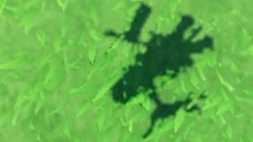 [Genshin Shadow Challenge #10] Who’s That Character? Genshin Impact ...