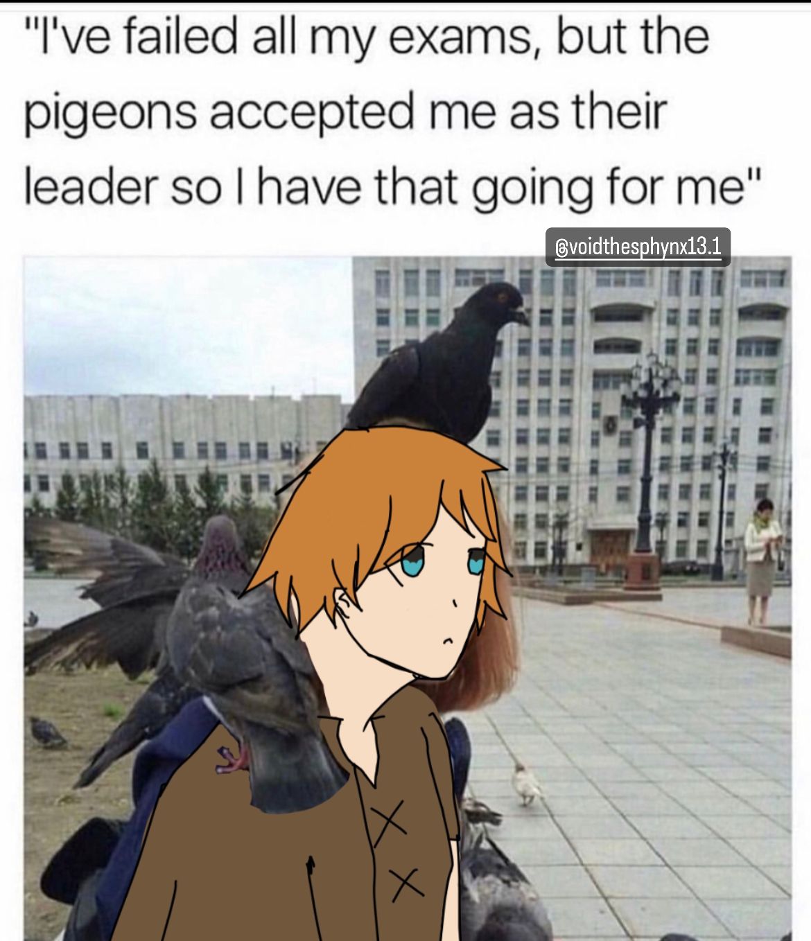 Timmie has failed the akademiya but the pigeons accepted him as their ...