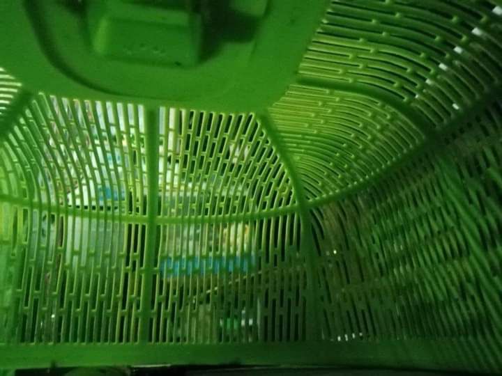 TEMPLE OF WISDOM! Genshin Impact | HoYoLAB