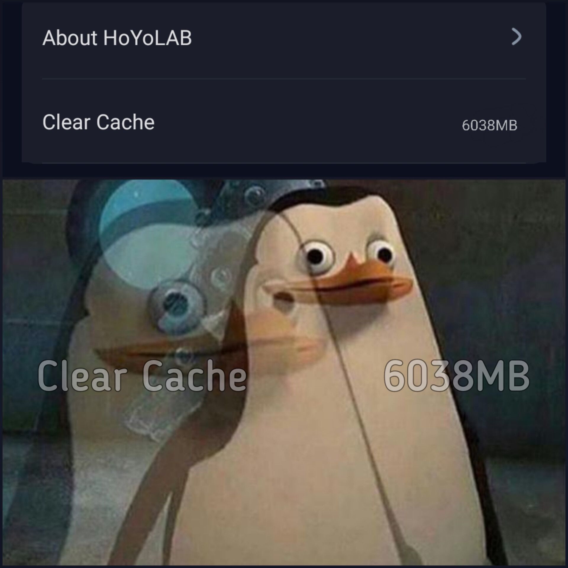 Memes I hide from Mimo #18 | HoYoLAB