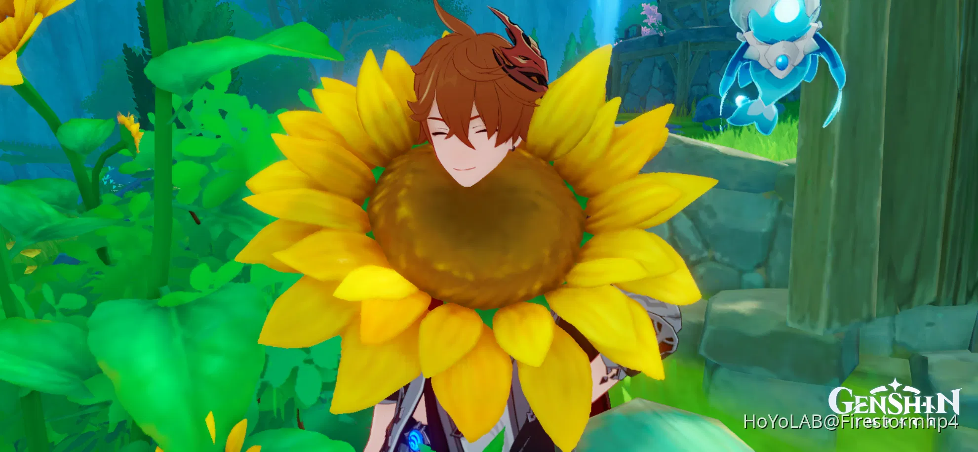 Happy Sunflower 🌻 Genshin Impact | HoYoLAB