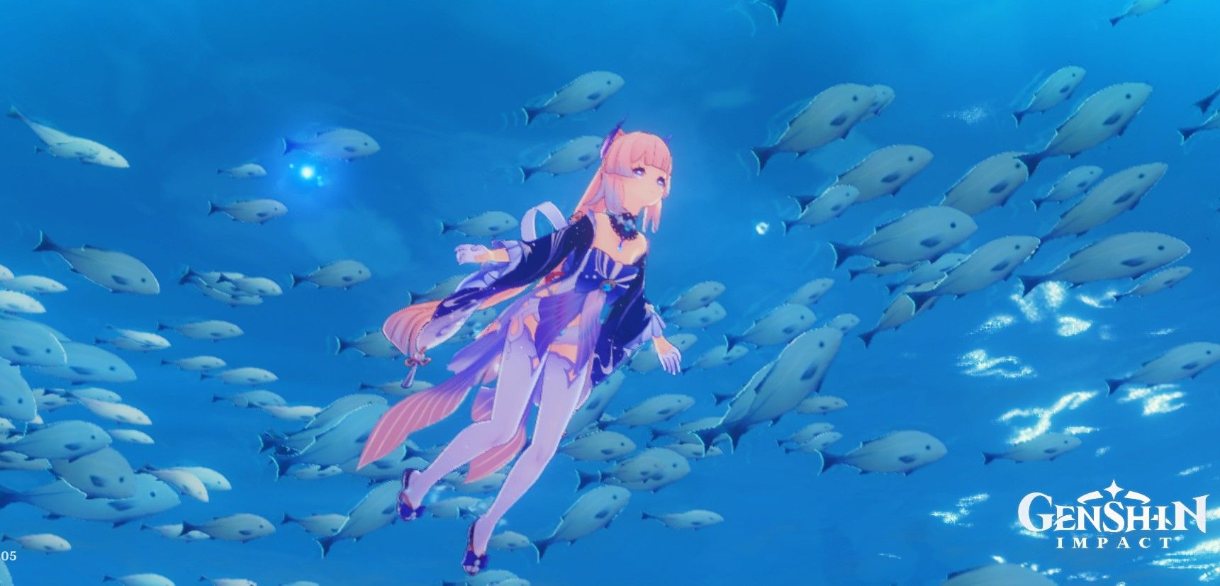 Kokofish Genshin Impact | HoYoLAB