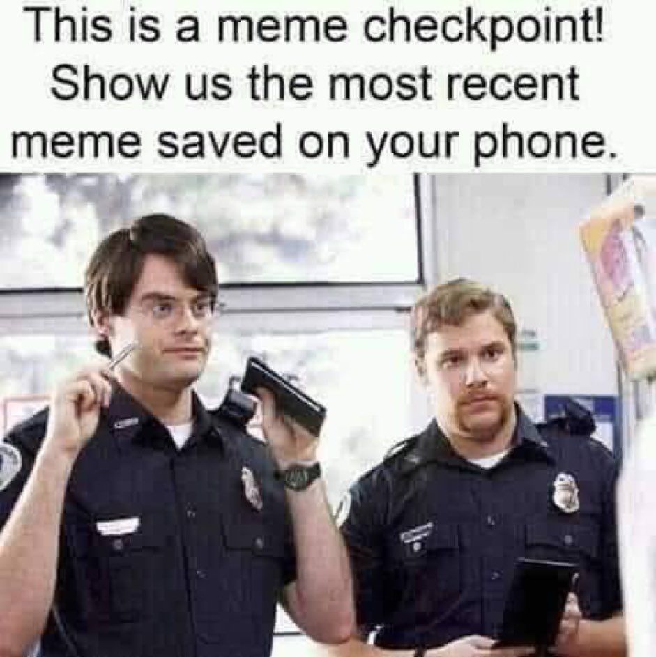 THIS IS A MEME CHECKPOINT ! Genshin Impact | HoYoLAB