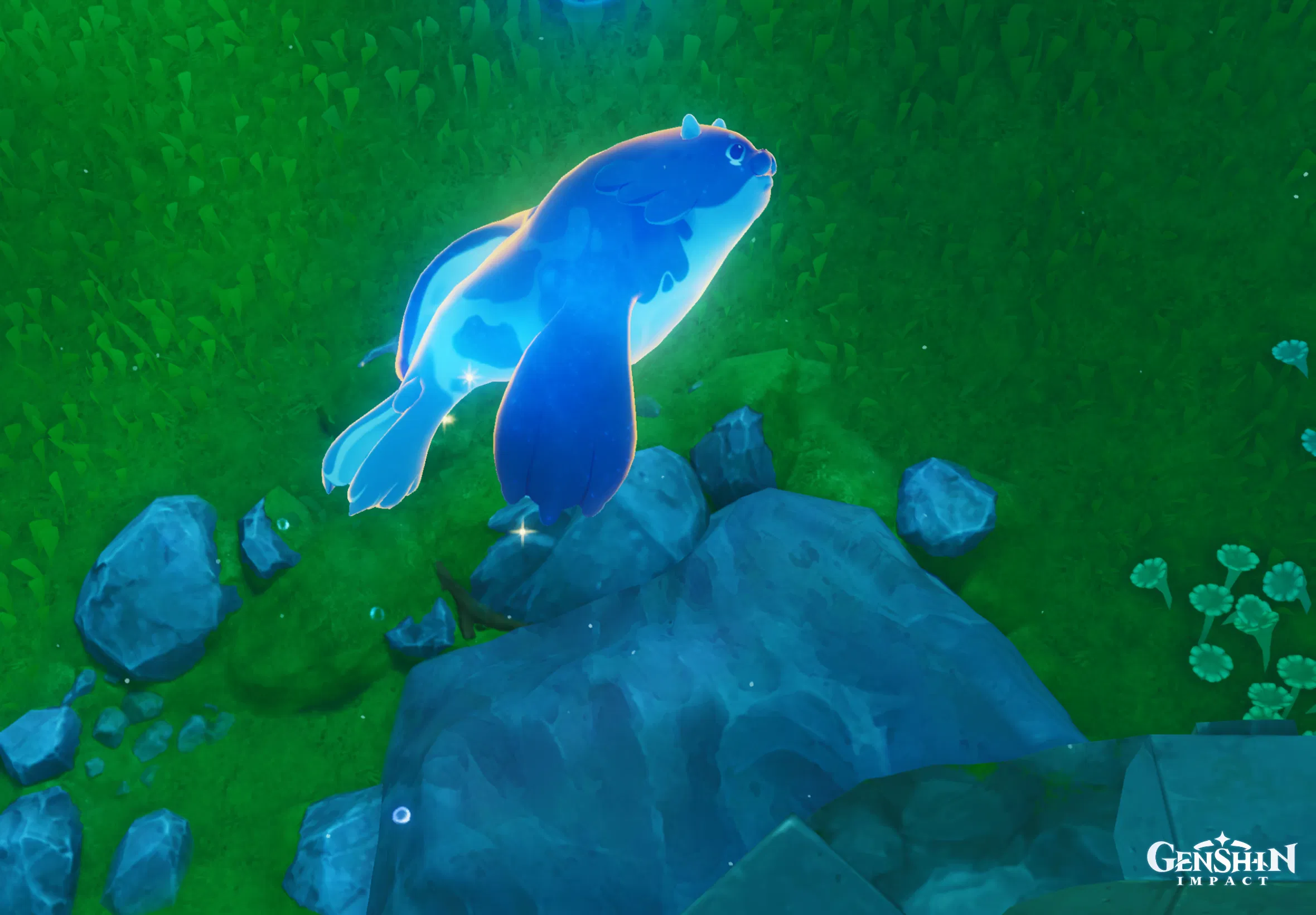 Fontaine’s sea creatures are SO cute :-) Genshin Impact | HoYoLAB