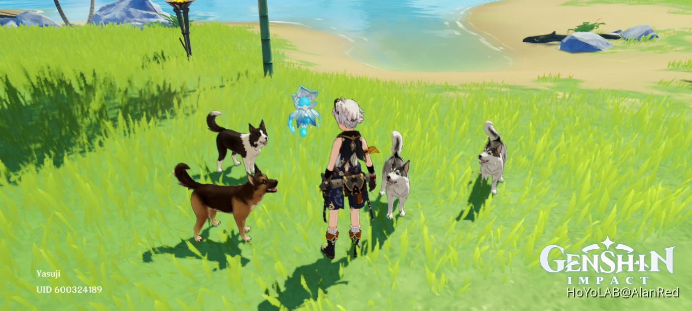os dog Genshin Impact | HoYoLAB