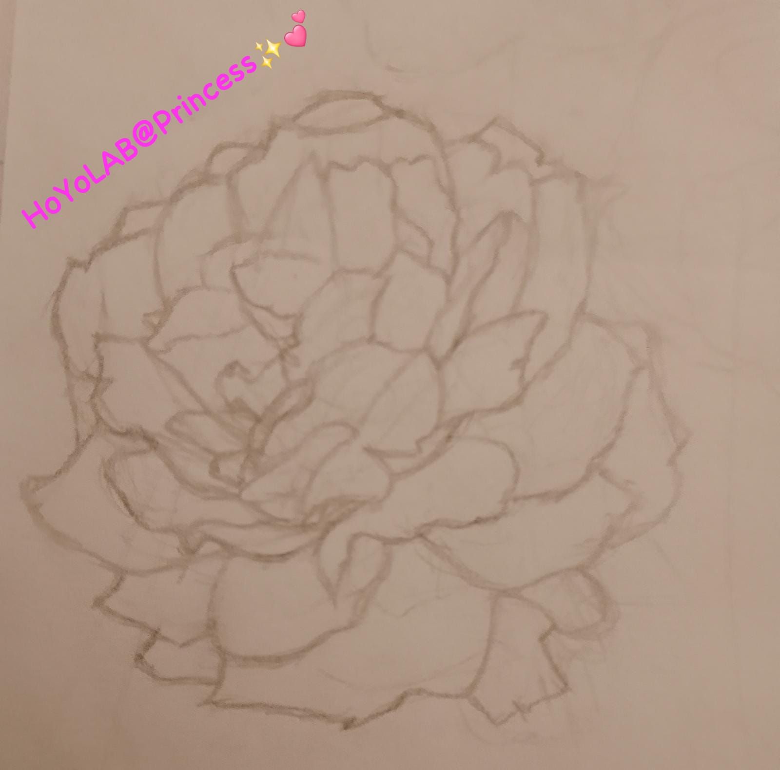 A rose for a lovely day or night!!🌹 | HoYoLAB