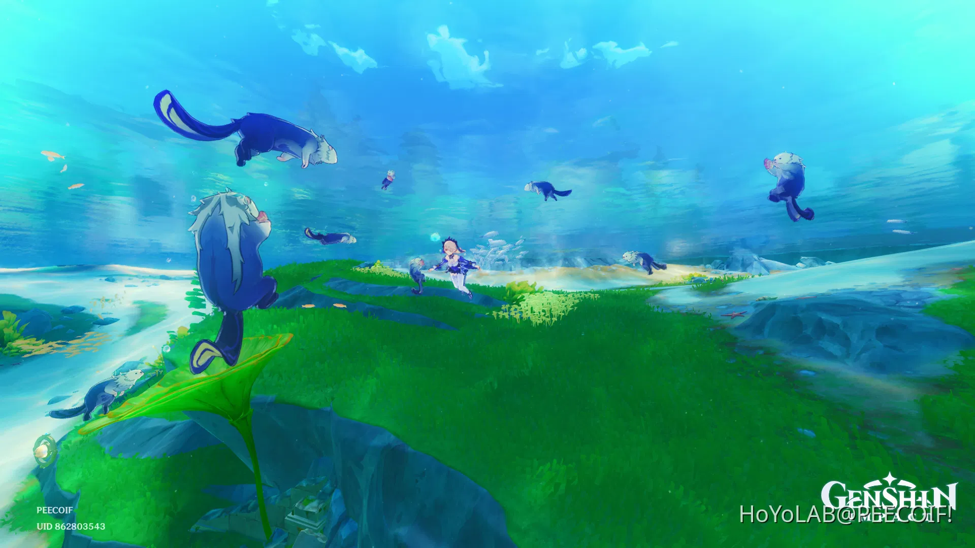 What's your favorite underwater creature from Fontaine so far? Genshin ...