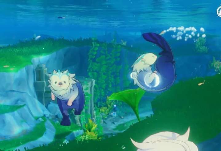 Chân thân của Neuvilette là con rái cá for sure~ Genshin Impact | HoYoLAB