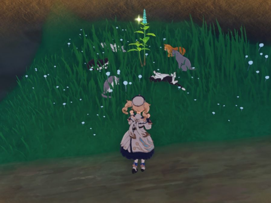 Cats of inazuma shrine Genshin Impact | HoYoLAB