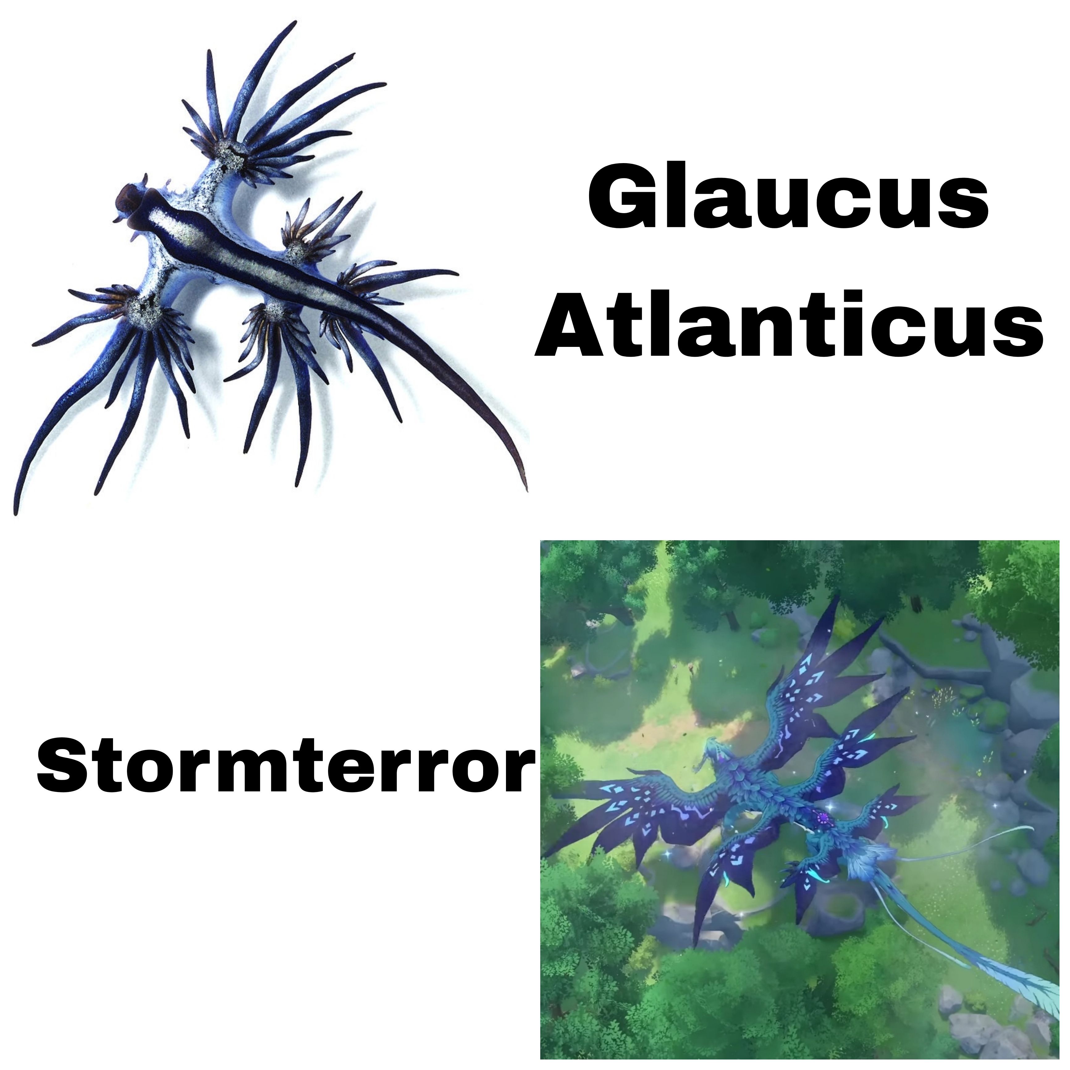 So that's how it is... Genshin Impact | HoYoLAB