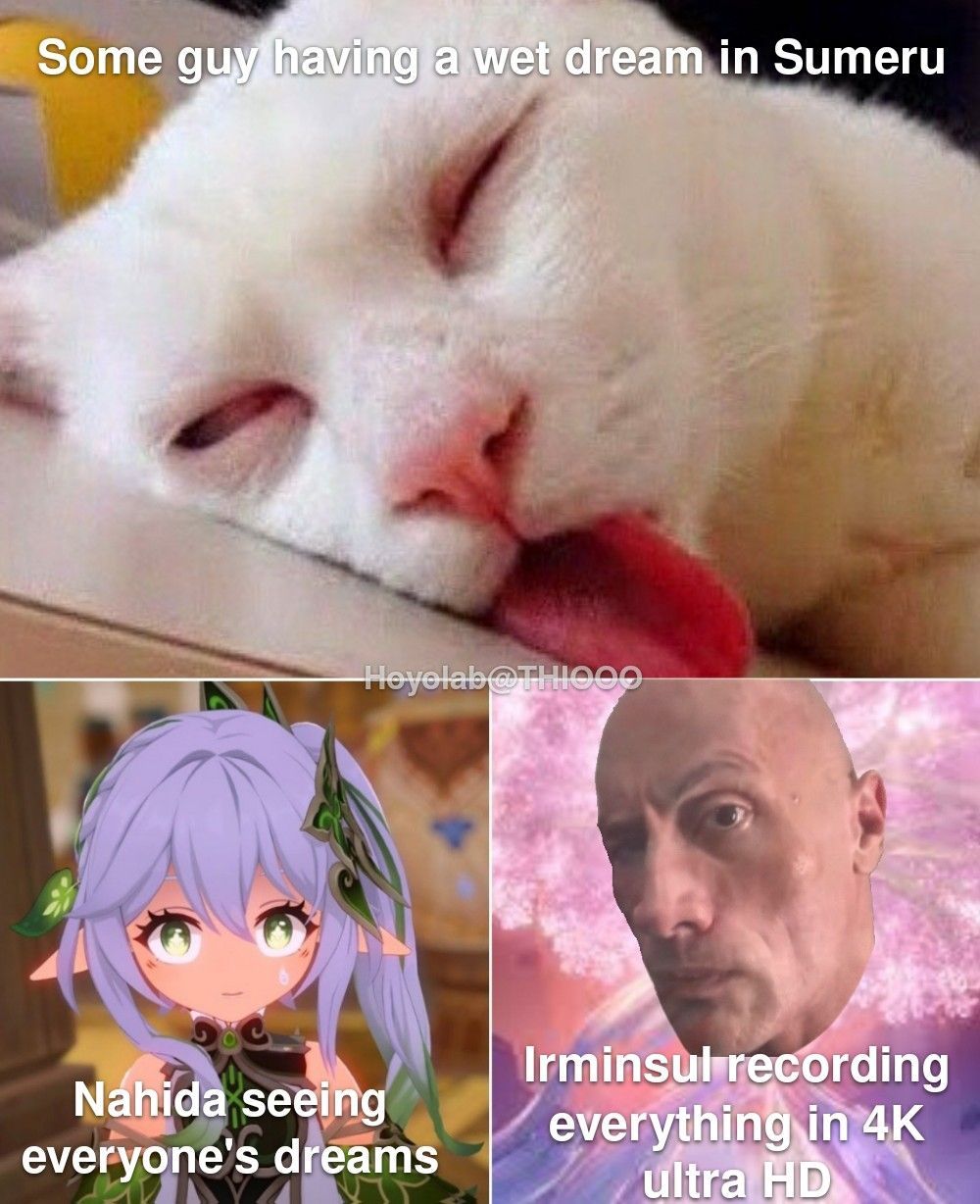 Sumeru's biggest problem💀 Genshin Impact | HoYoLAB