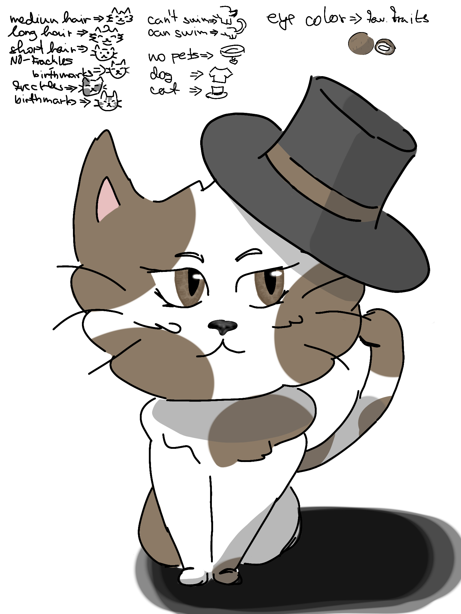 Draw a cat by yourself | HoYoLAB