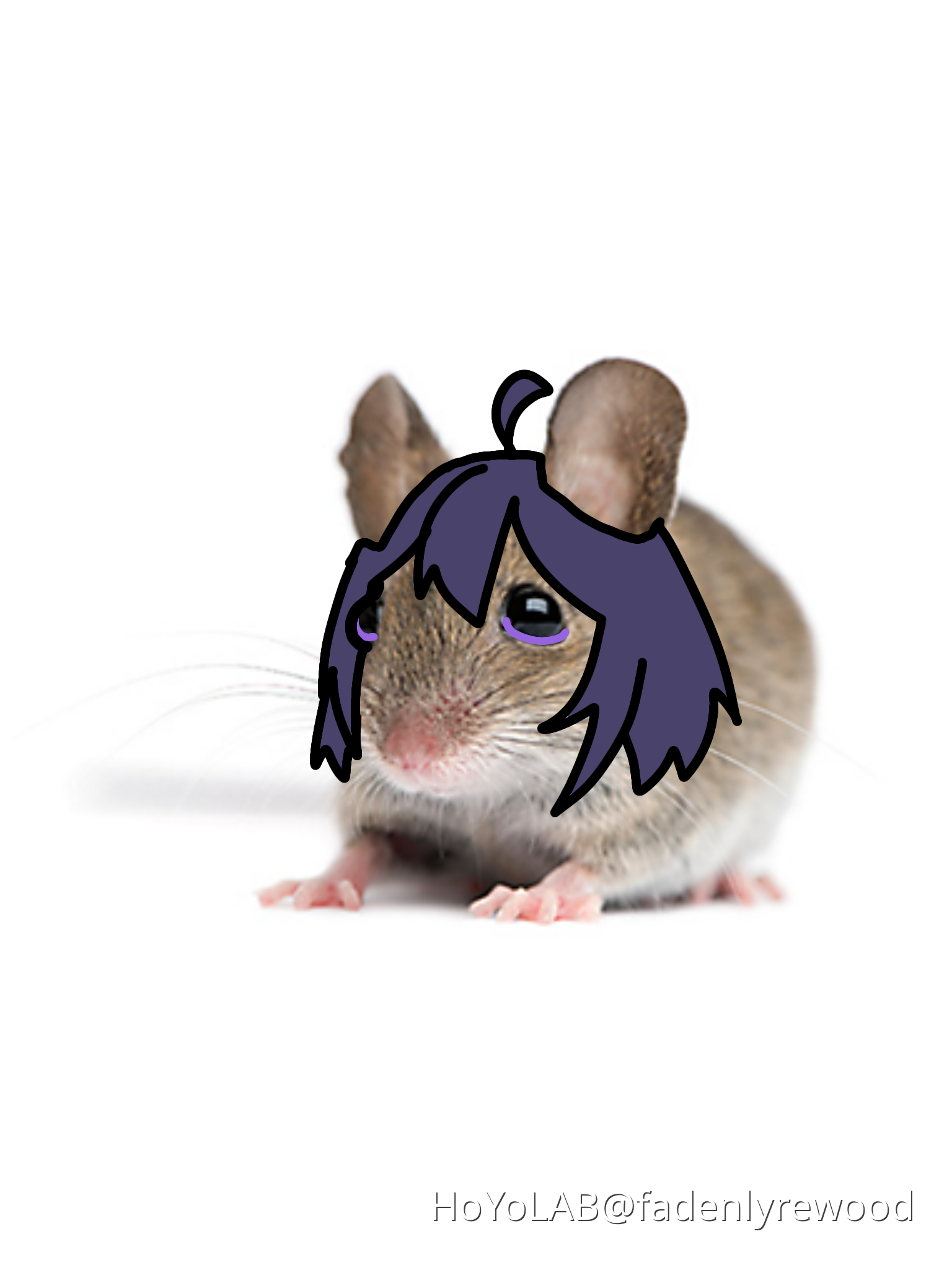 seele mouse Honkai Impact 3rd | HoYoLAB