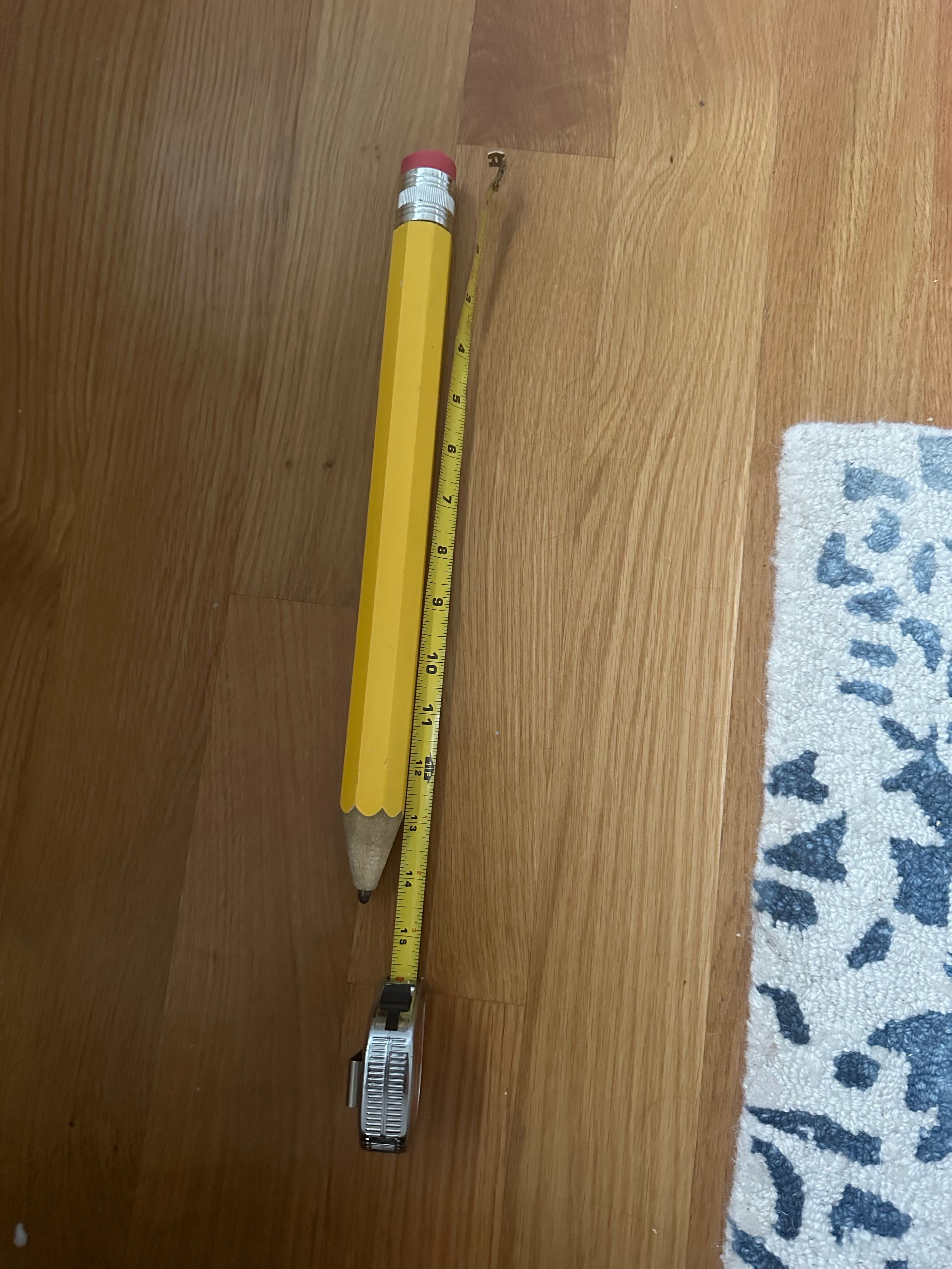 Definitely bought a normal sized pencil ️ | HoYoLAB
