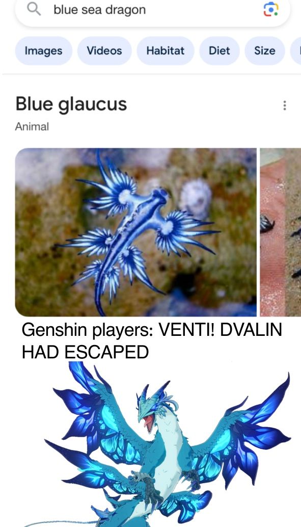 DVALIN IN RL?! Genshin Impact | HoYoLAB