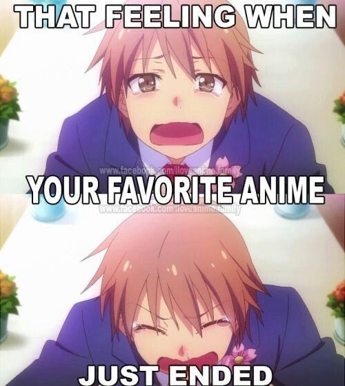 Relatable Anime quotes/ memes | HoYoLAB