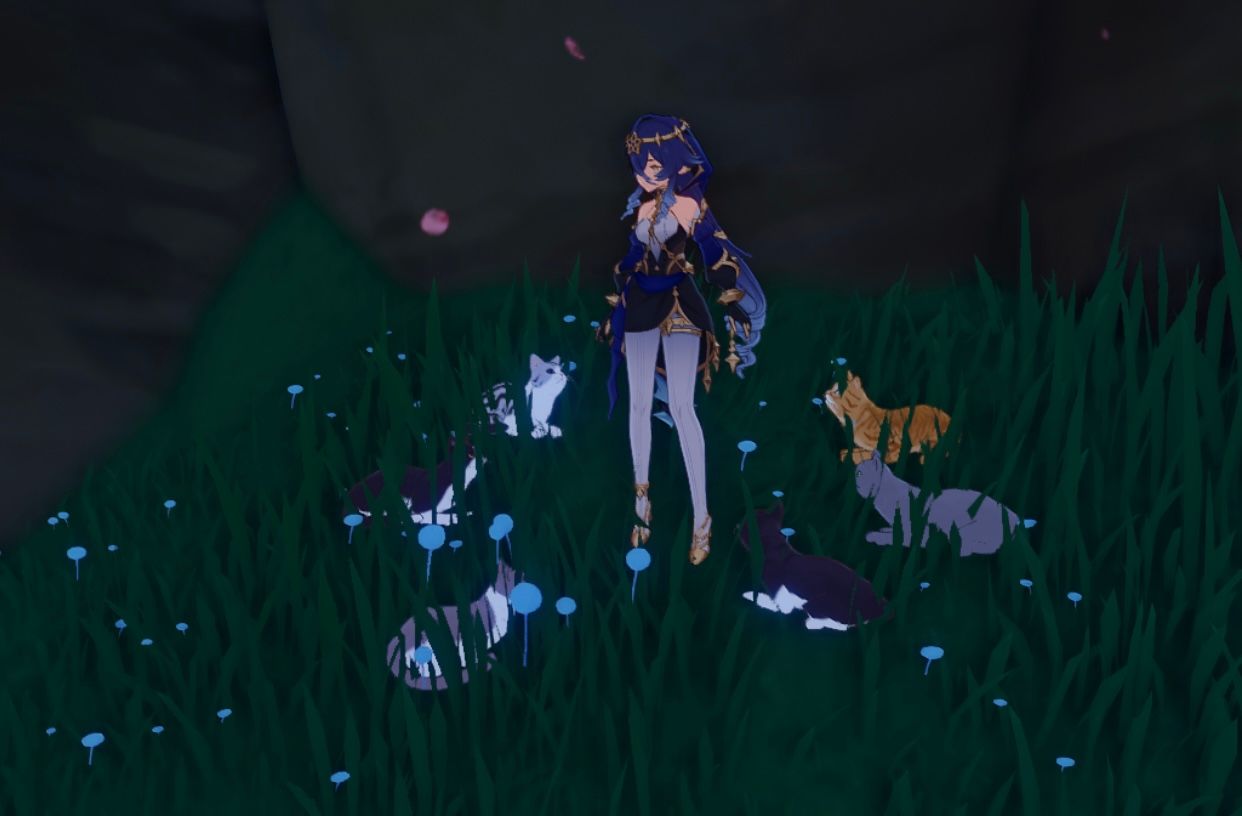 Cat circle cat circle cat circle Genshin Impact | HoYoLAB