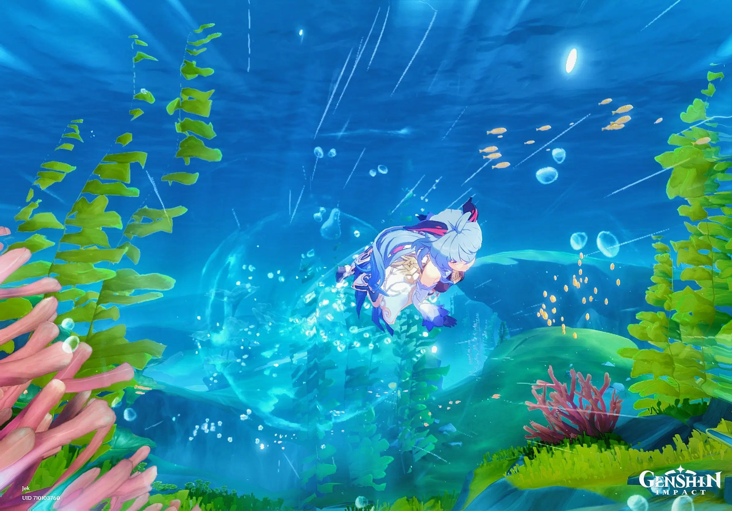 Fontaine Underwater Screenshots 🫧 Genshin Impact | HoYoLAB