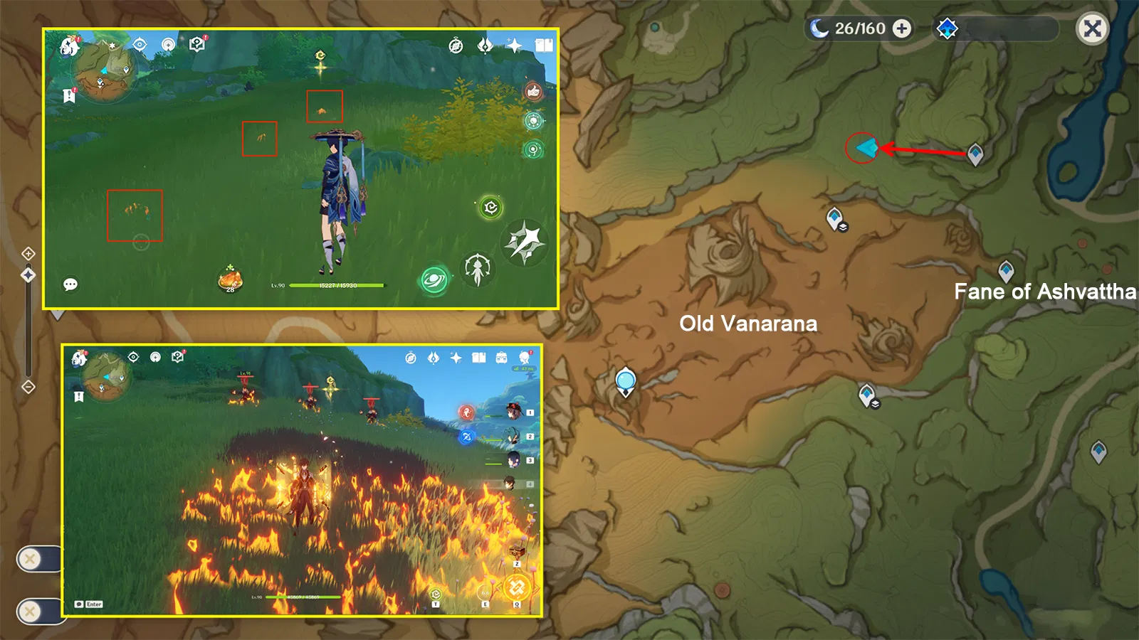 HoYoLAB - Official Community