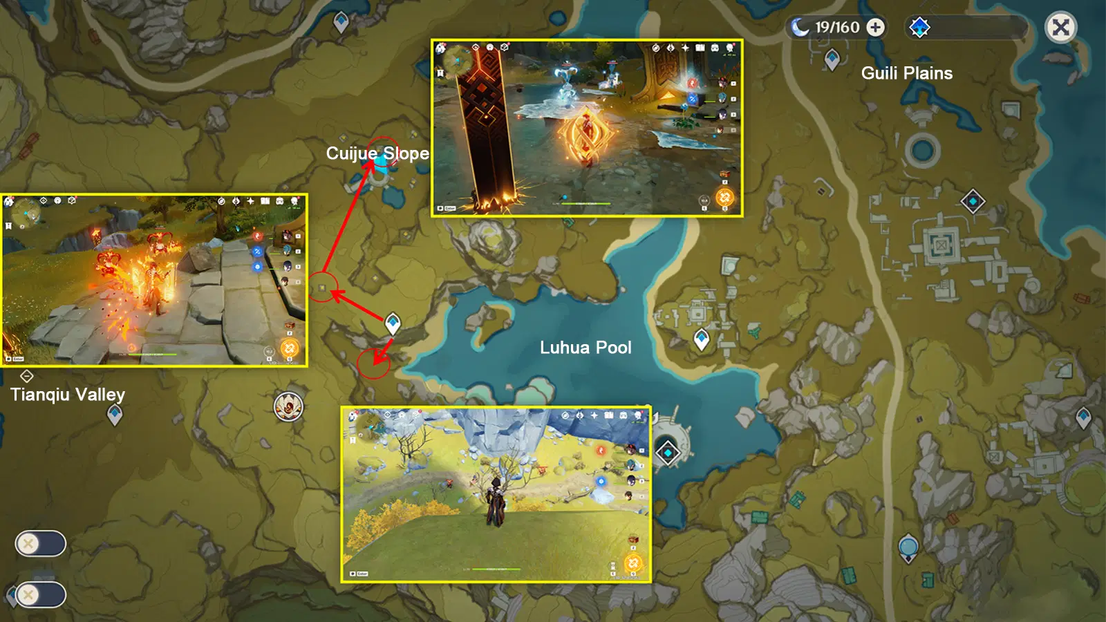 Whopperflower*37 Farm Guide Genshin Impact | HoYoLAB