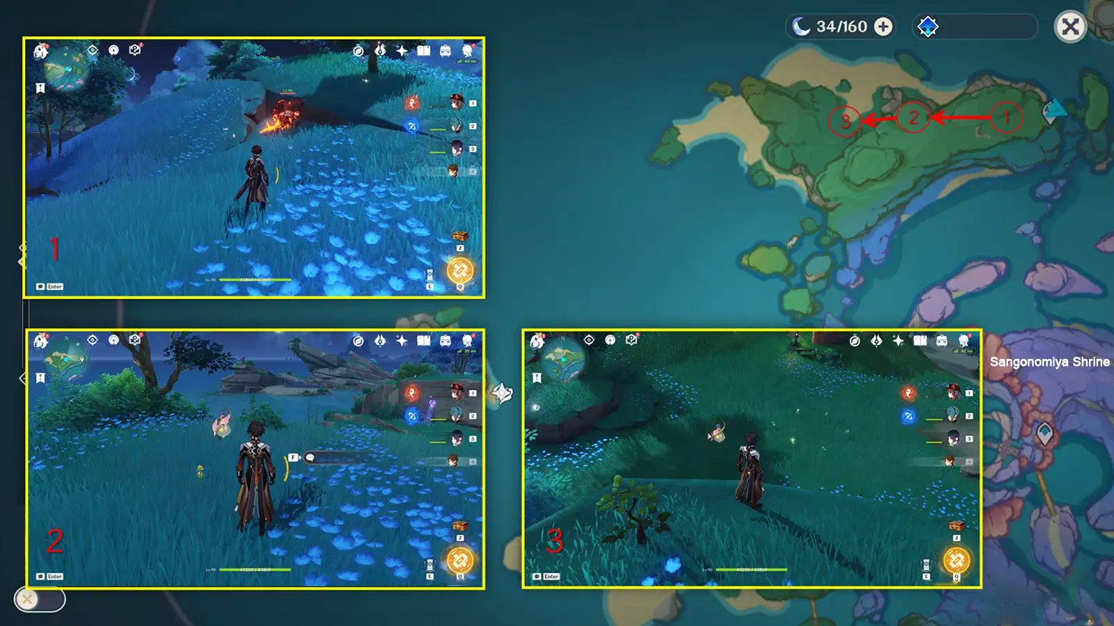 Whopperflower*37 Farm Guide Genshin Impact | HoYoLAB