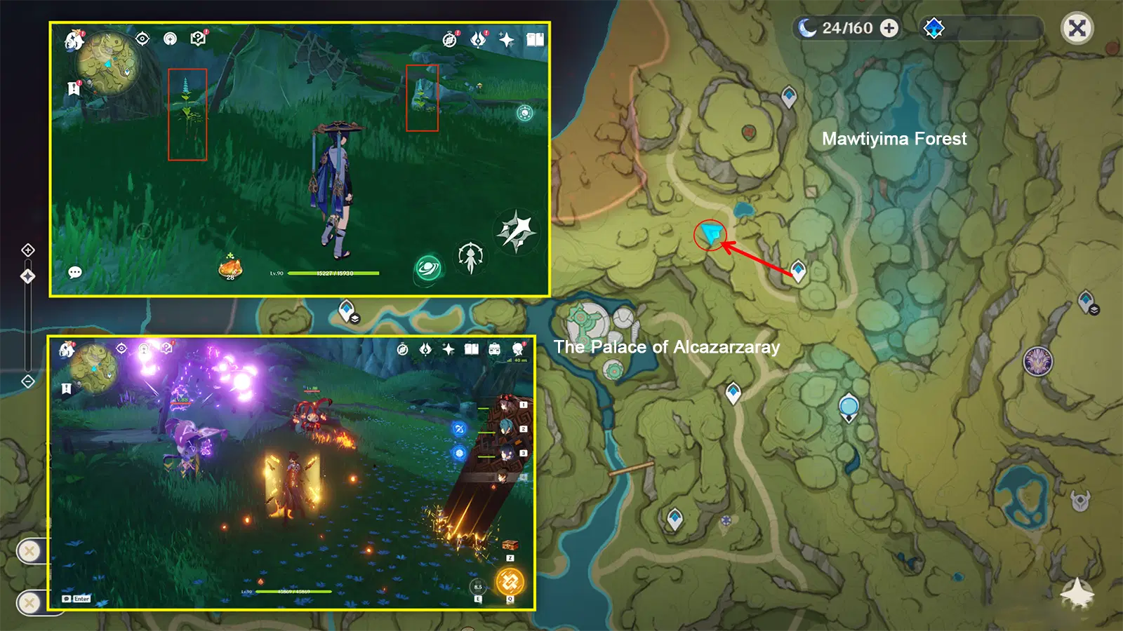 Whopperflower*37 Farm Guide Genshin Impact | HoYoLAB