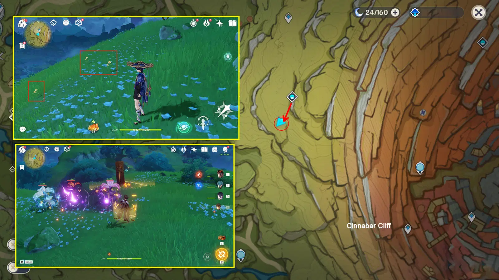 Whopperflower*37 Farm Guide Genshin Impact | HoYoLAB