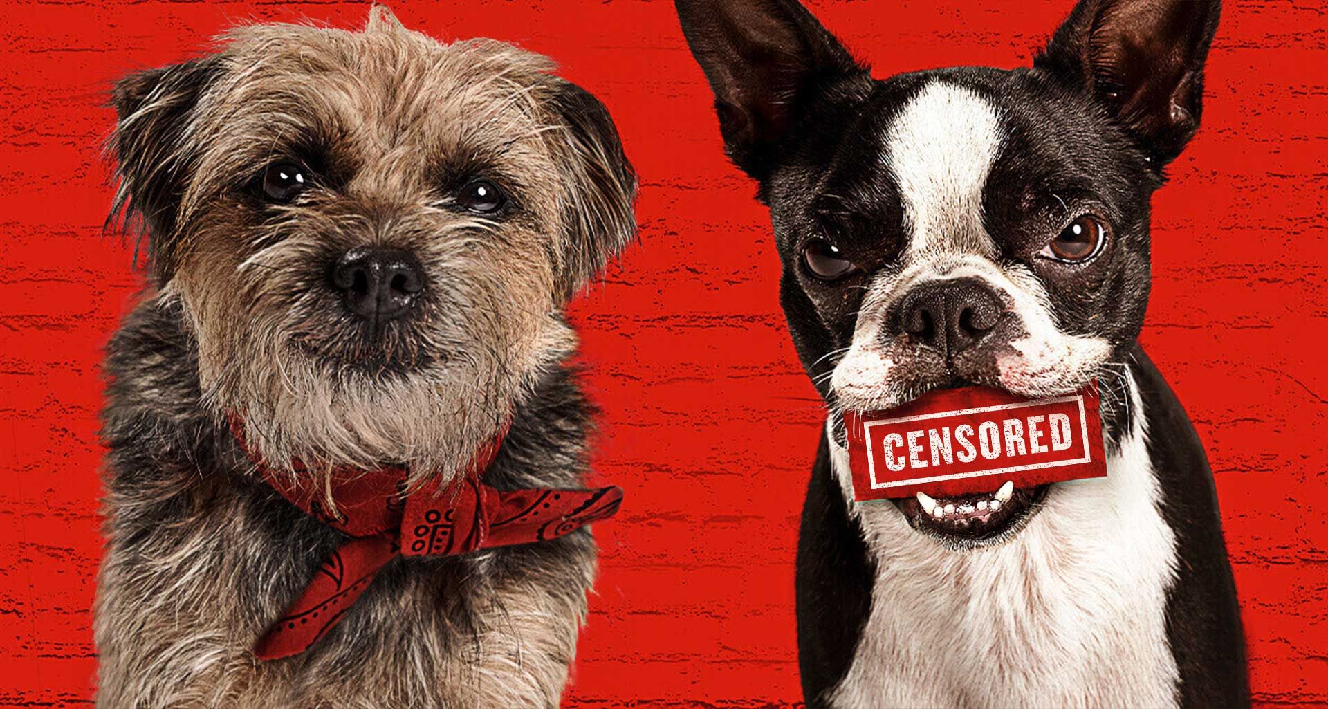 {𝐕ER!}𝐇D ~ Vida perra (𝟐𝟎𝟐𝟑) 𝐏elícula 𝐂ompleta 𝐎nline 𝐄n 𝐄spañol 𝐲 𝐋atino | HoYoLAB