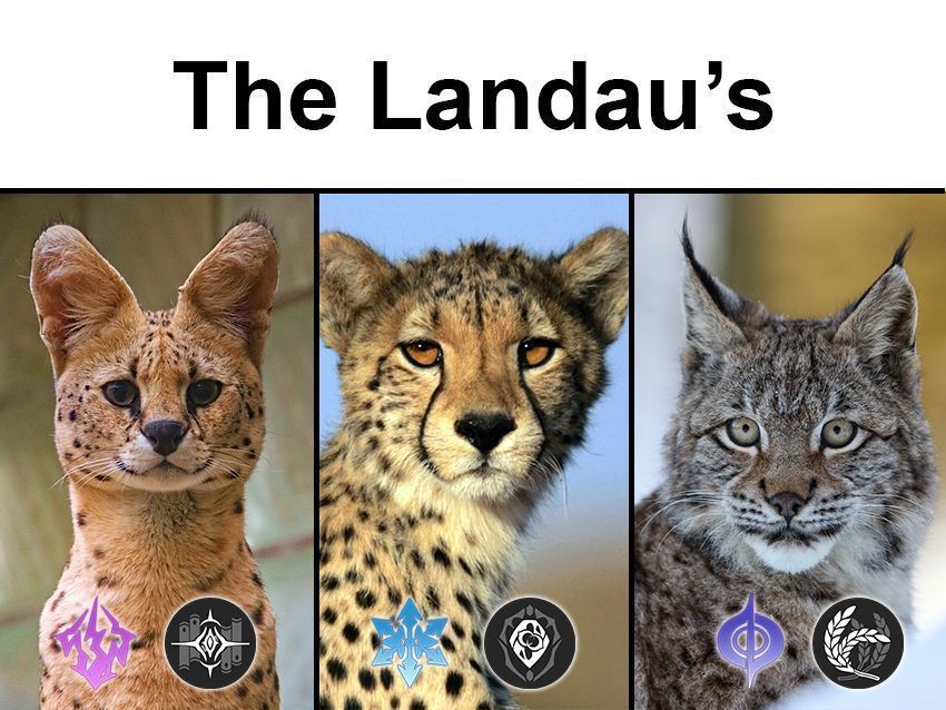 This is the Landau family Honkai: Star Rail | HoYoLAB