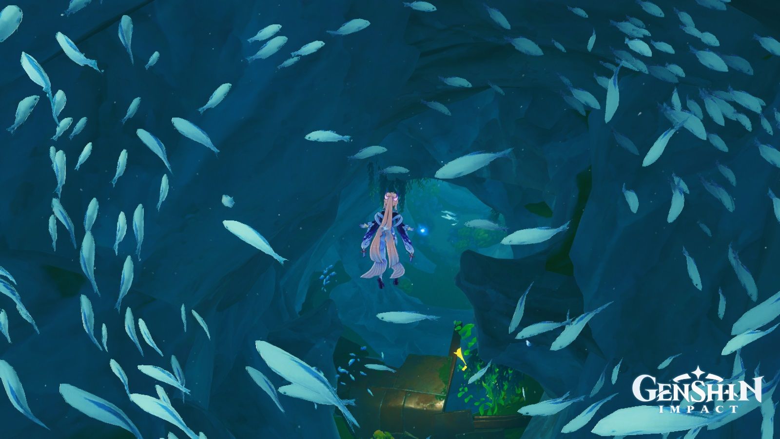 Kokomi's new ability - Swirling Fish Shield XD ♥ Genshin Impact | HoYoLAB